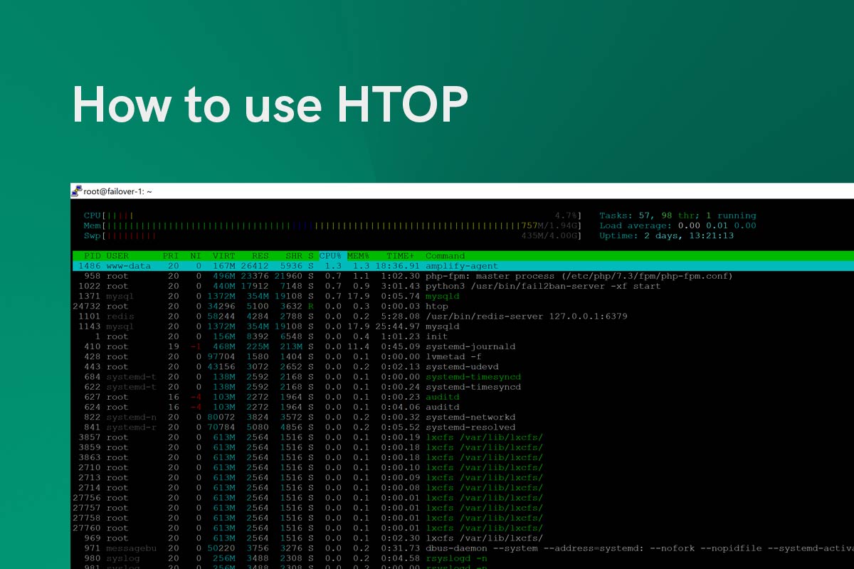 Command Line Fundamentals | GridPane