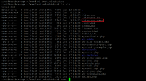 Diagnosing 403 Forbidden Errors | GridPane